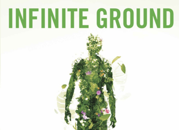 Infinite Ground Cover / Chris Malbon - Projects - Debut Art