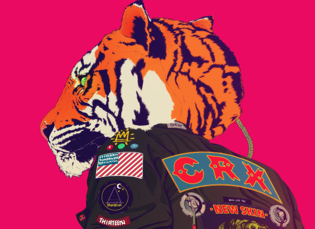 New Skin Album Cover / CRX / zBoneface Z - Projects - Debut Art