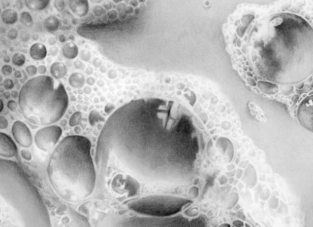 Wash Your Hands / Cath Riley - Projects - Debut Art