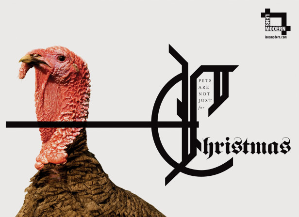 Christmas / Kerry Roper - Projects - Debut Art