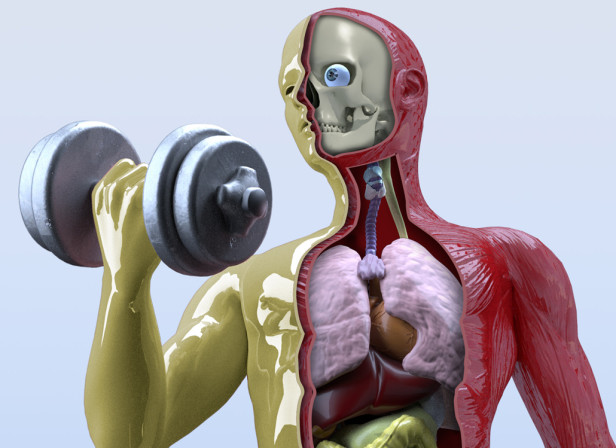 Training Man 7 Folio / Jurgen Ziewe - Projects - Debut Art