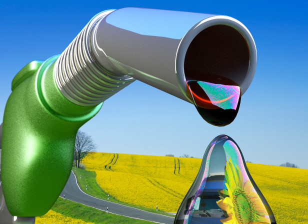 Biofuel Diesel Environment / Jurgen Ziewe - Projects - Debut Art